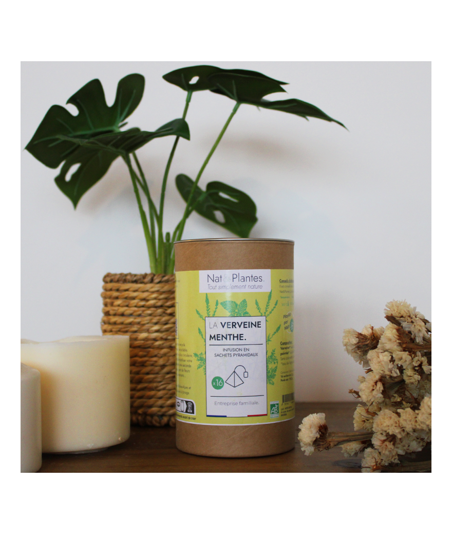 Infusion bio sachets pyramides THÉ VERT MENTHE | NAT&PLANTES
